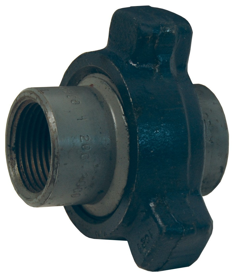 8" Steel Threaded Hammer Union 200 Series, Grey, Sub, Blue Nut ...