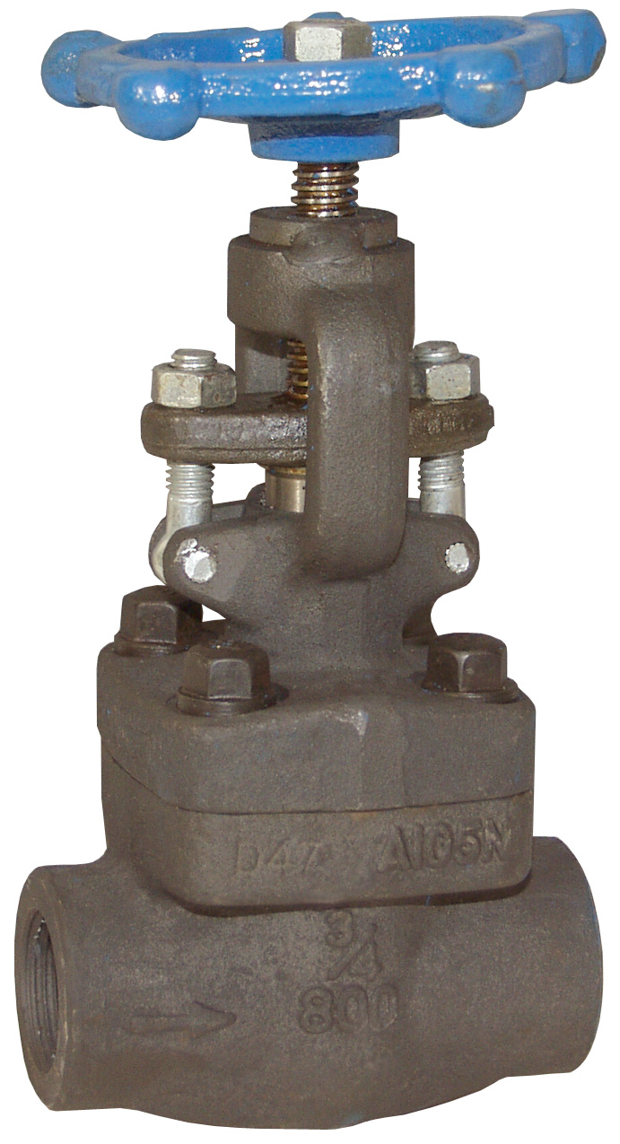 1/2" FNPT Forged Steel Gate Valve - Specialties Company of Freeport